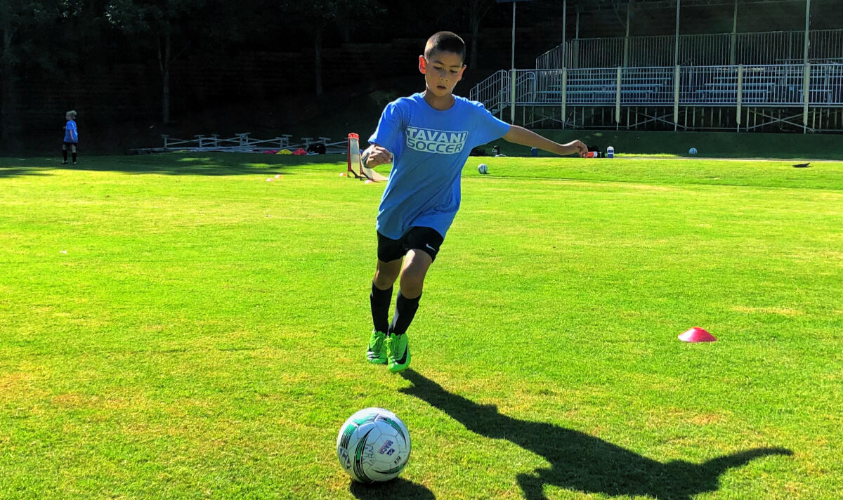 Tavani Soccer Camps